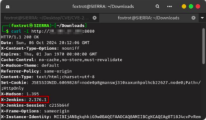 Jenkins CVE-2024-23897: Critical Vulnerability Guide