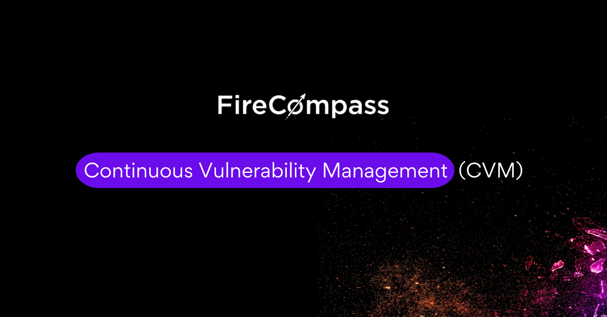 Continuous Vulnerability Management: Best Practices & Solutions
